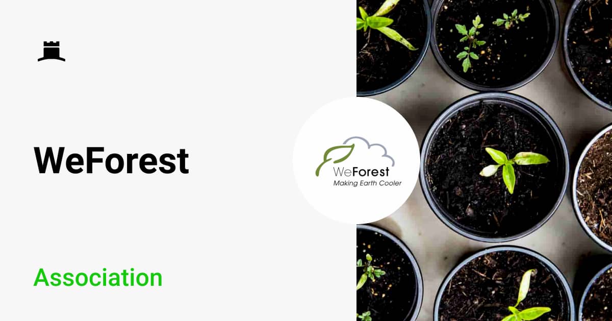 Faire un don à WeForest gratuitement - Bourgad